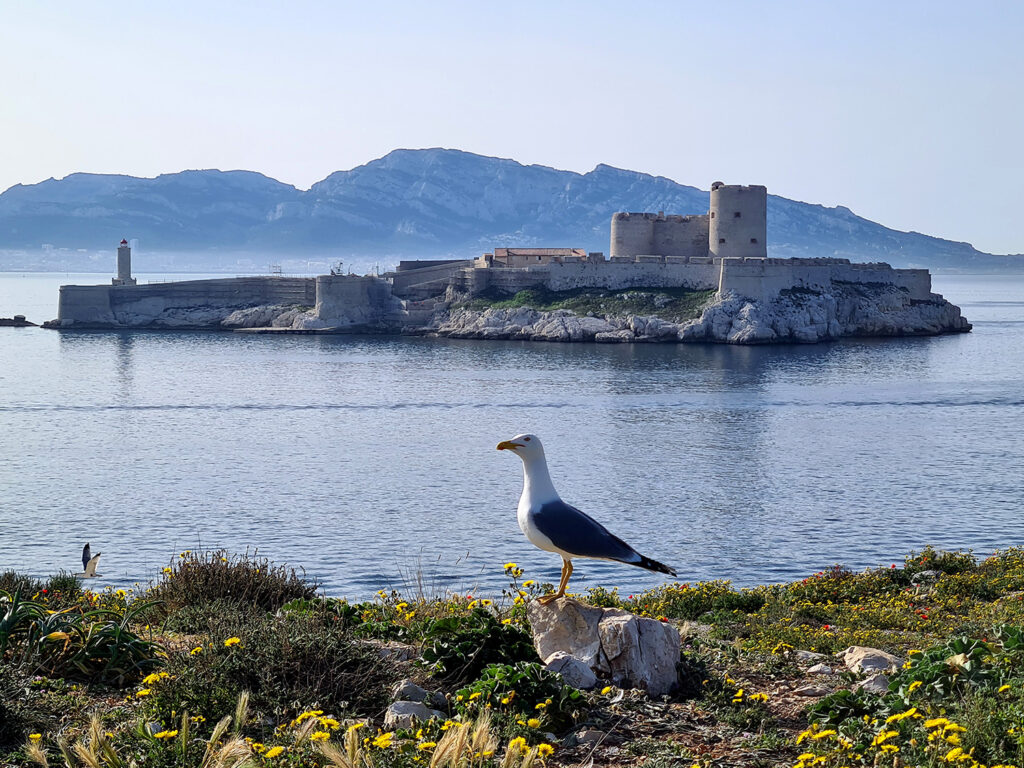 Calanque de Ratonneau, Le Frioul, Marseille